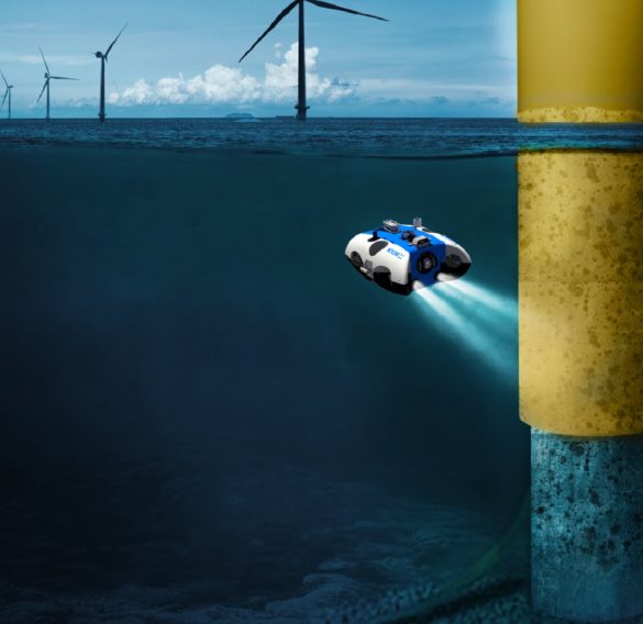 BeeX, Sulmara e Universidade de Strathclyde se unem em novo projeto ...