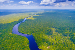 Transocean fecha contrato de US$ 486 milhões com a Petrobras para ...